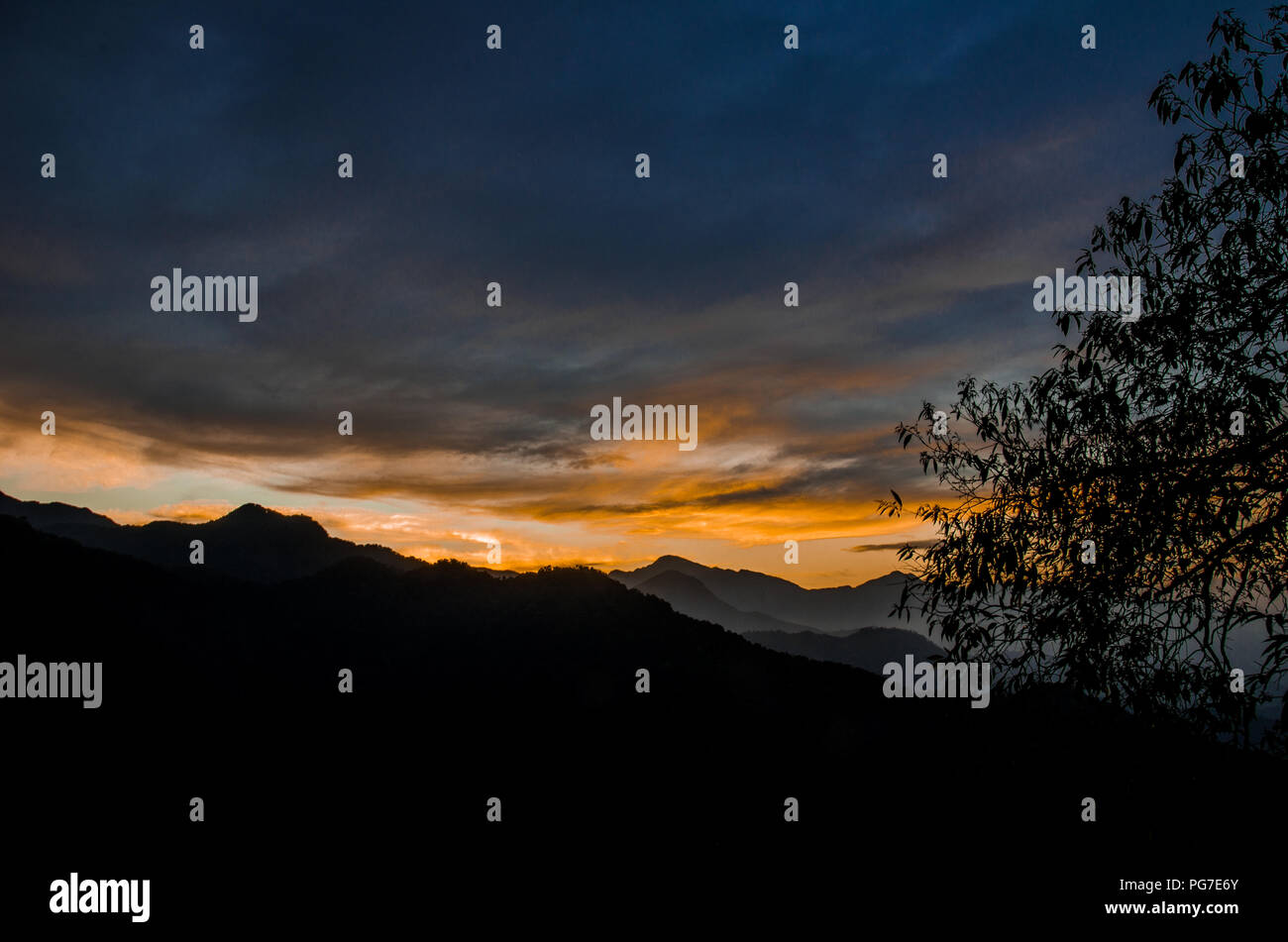 Sunset in Munnar, Kerala, India Stock Photo - Alamy