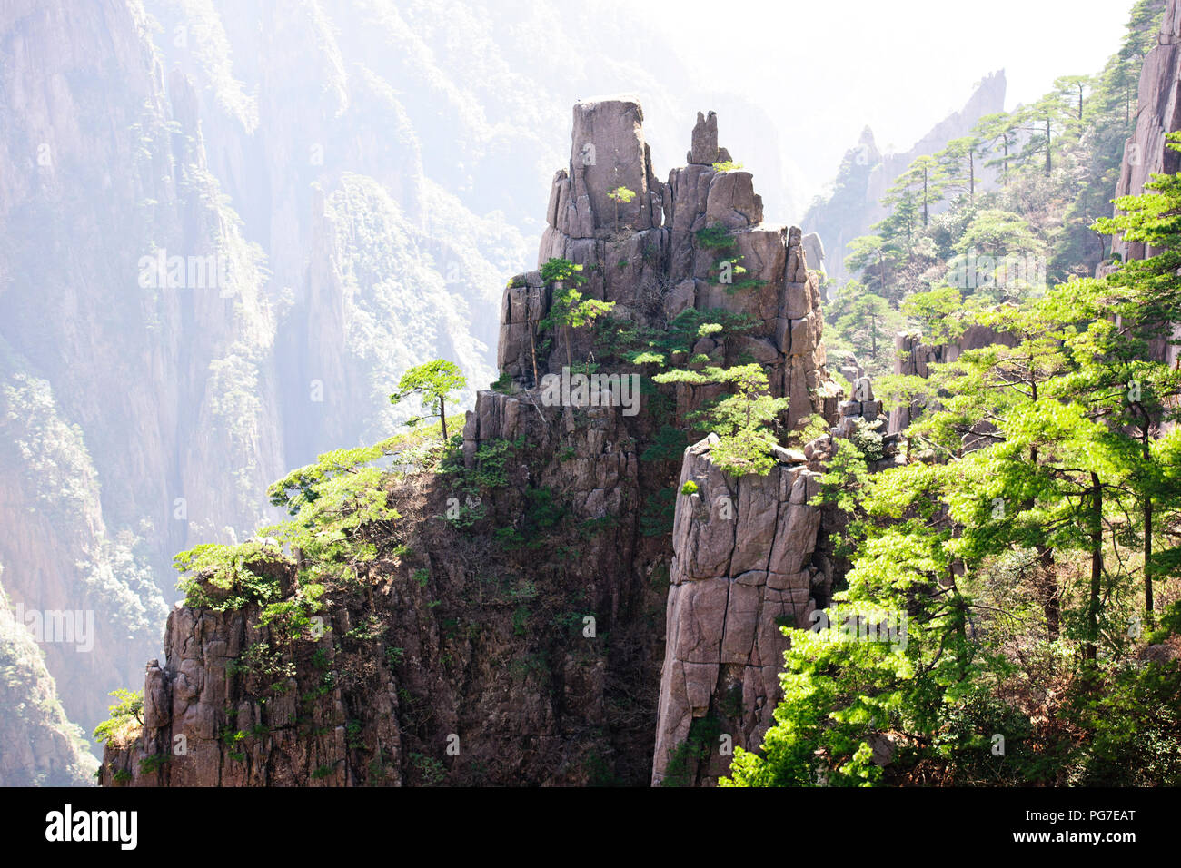 Twisted Pines,Clouds,Pinacles,Cliff Faces,RocksYellow Mountains,Huang ...
