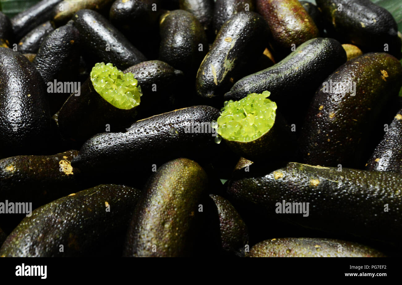 Australian Finger lime ( Caviar lime ) is an indigenous fruit growing ...