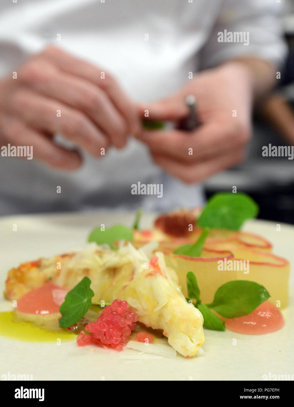 Plating a seafood plate of Moreton bay bug ( a local lobster ...