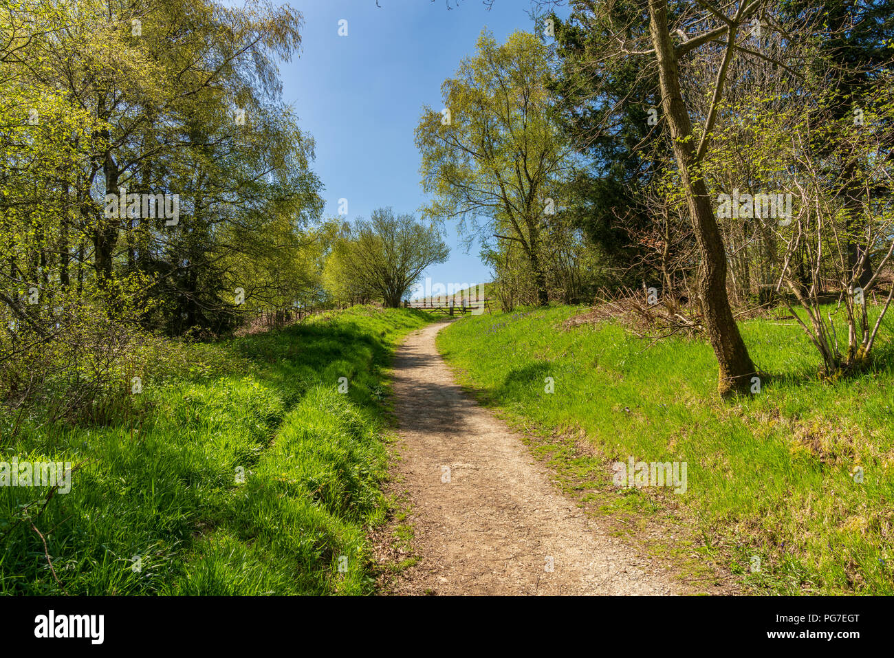Footpath towards Sunny Hill, between Lower Down and Clunton, Shropshire ...