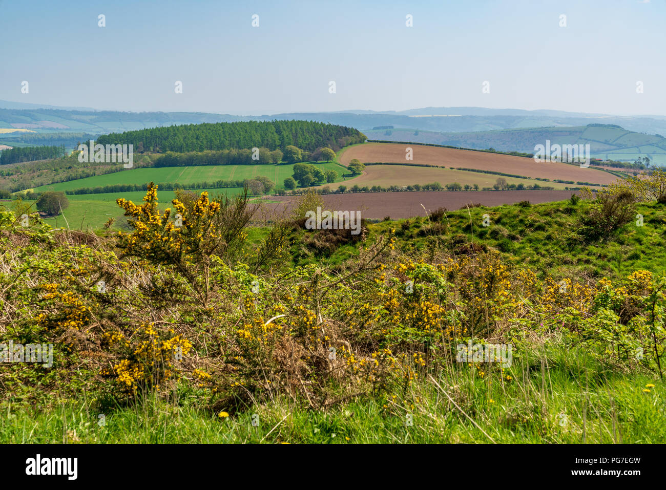 Clunton hi-res stock photography and images - Alamy