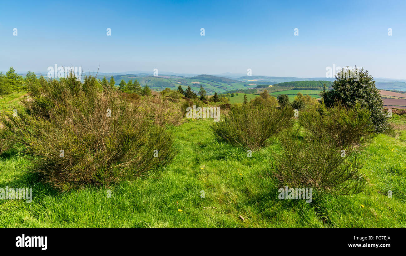 Clunton hi-res stock photography and images - Alamy