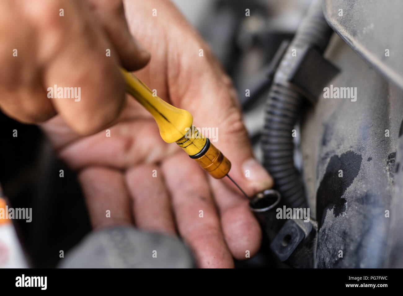 Car dipstick for oil level measurements. Checking the parameters of the ...