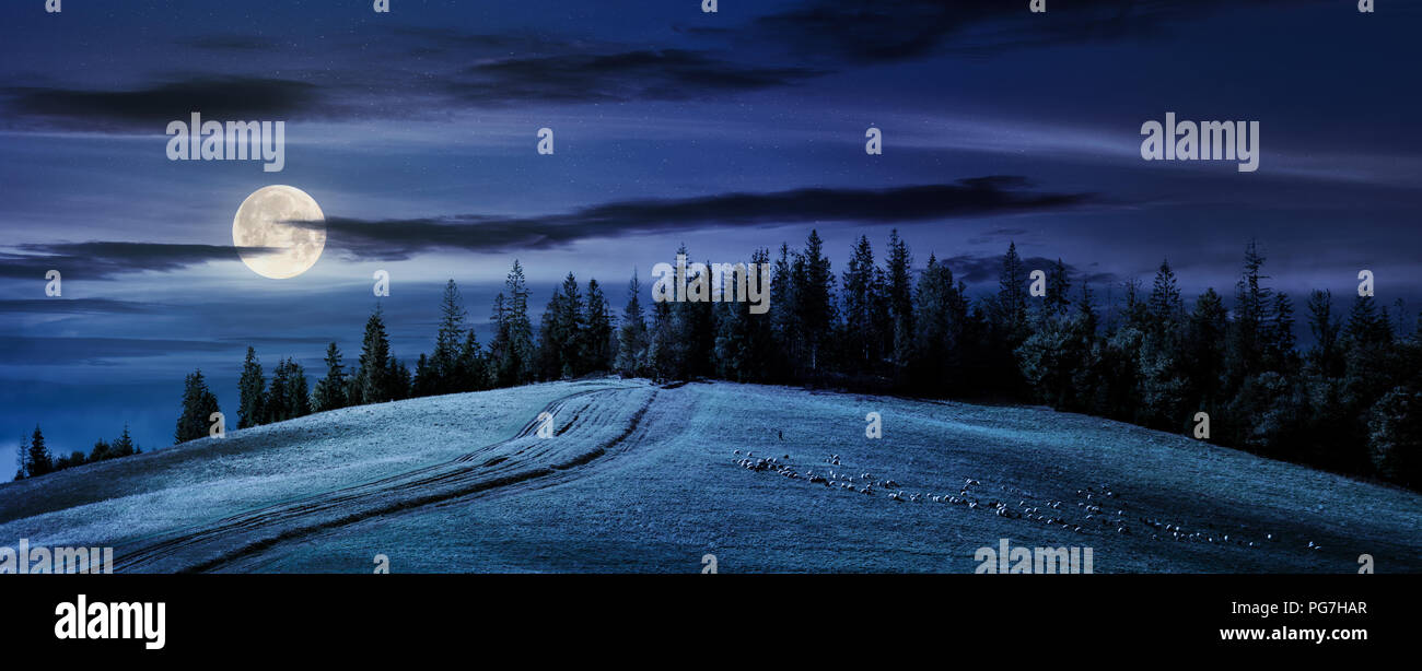 road uphill in to the forest at night in full moon light. beautiful ...
