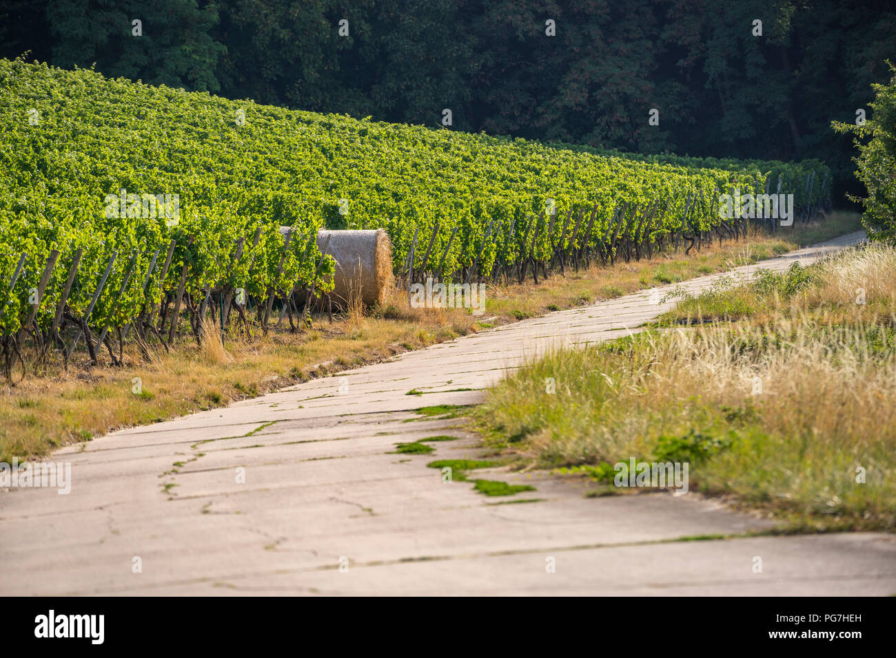 Rural german scene hi-res stock photography and images - Alamy