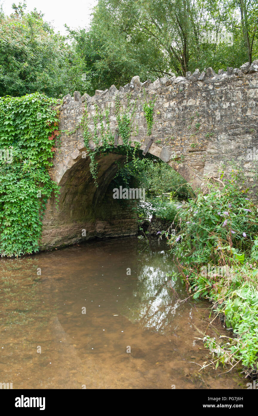 Wellow High Resolution Stock Photography and Images - Alamy