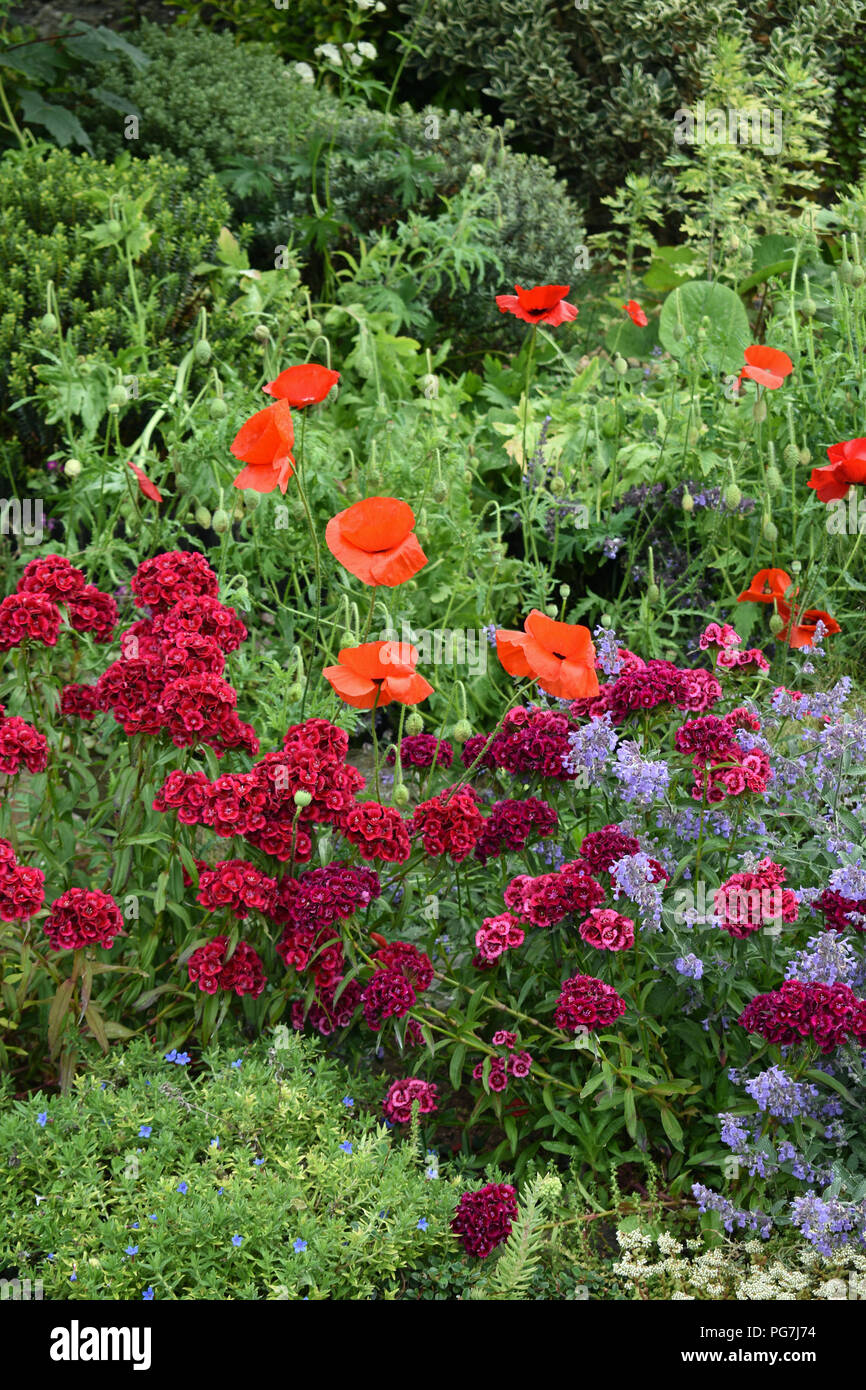 Brixham, Devon, English Riviera, England Stock Photo - Alamy
