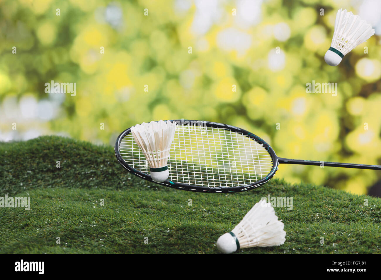 Play badminton in park hi-res stock photography and images - Alamy