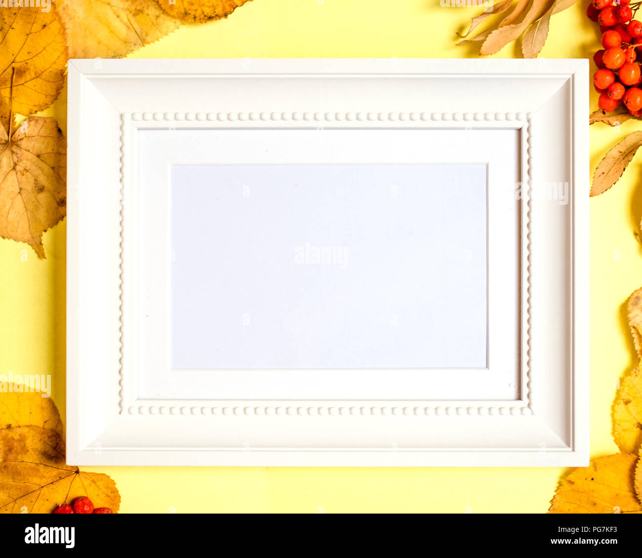 Seasonal autumn background. white frame with place for text, autumn ...