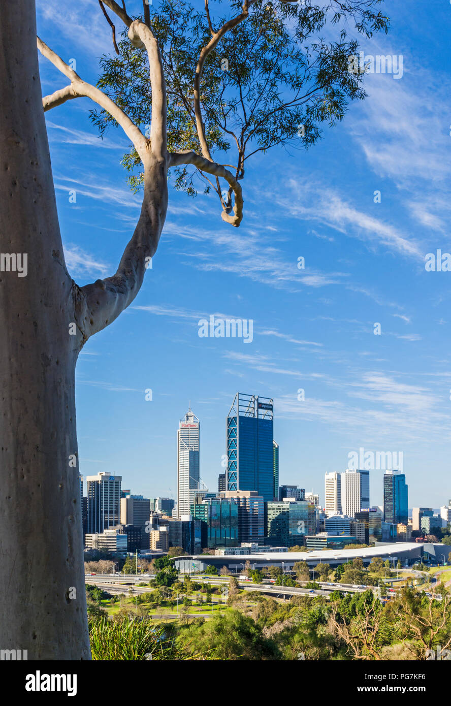 View of the perth cbd skyline from kings park hi-res stock photography ...