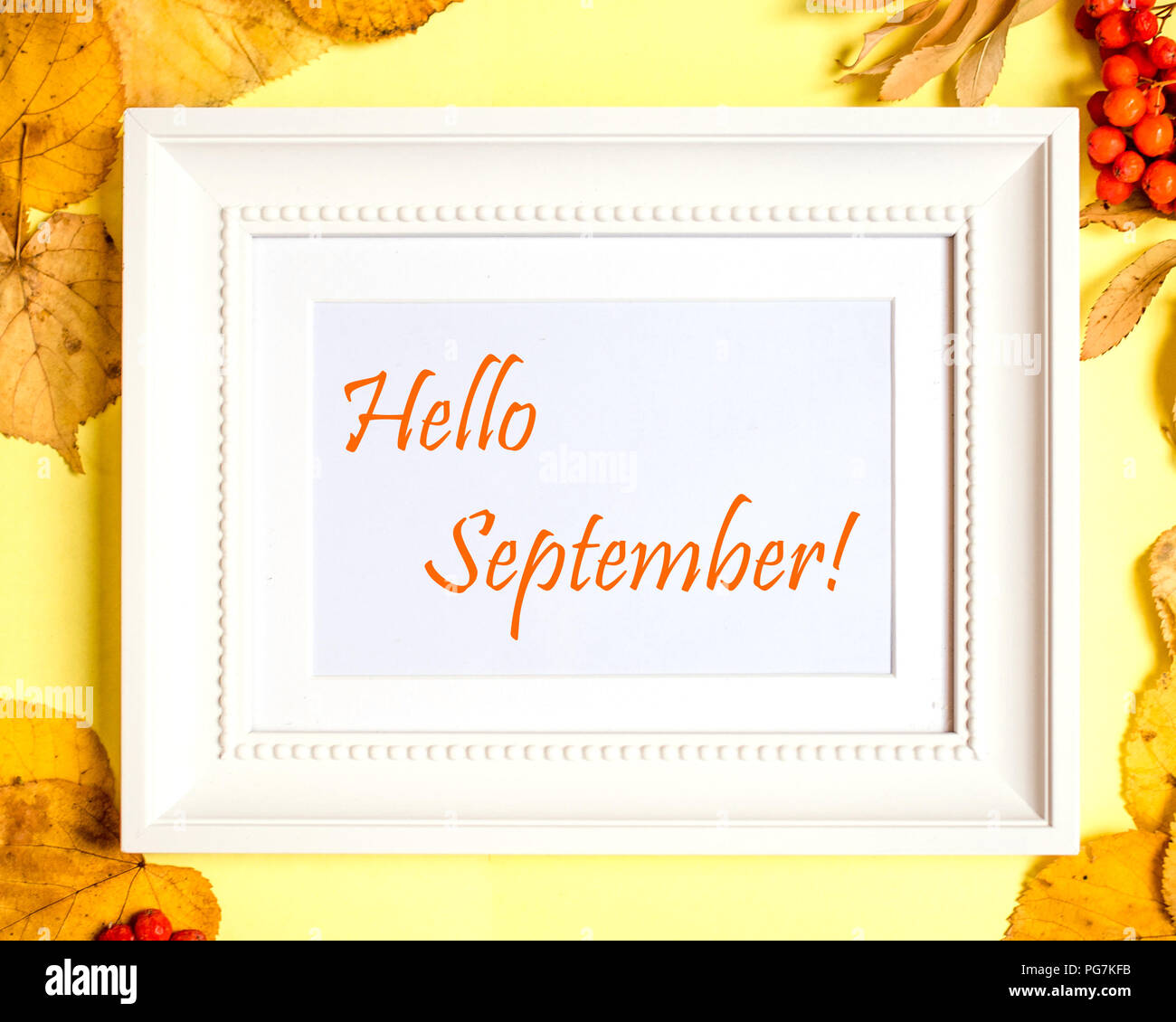 Seasonal autumn background. white frame with text Hello September ...