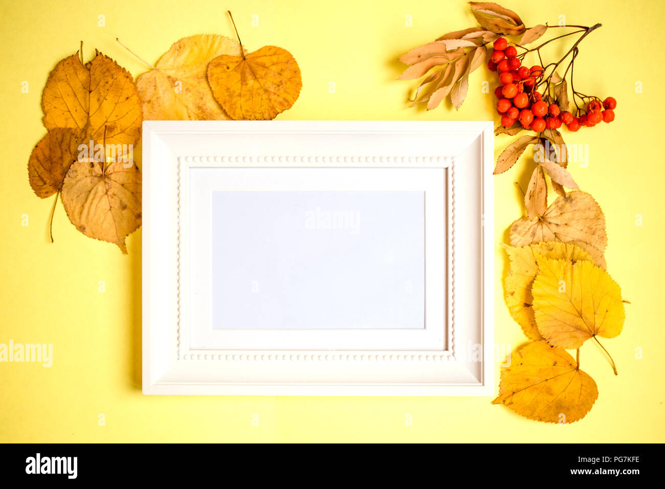 Seasonal autumn background. white frame with place for text, autumn ...