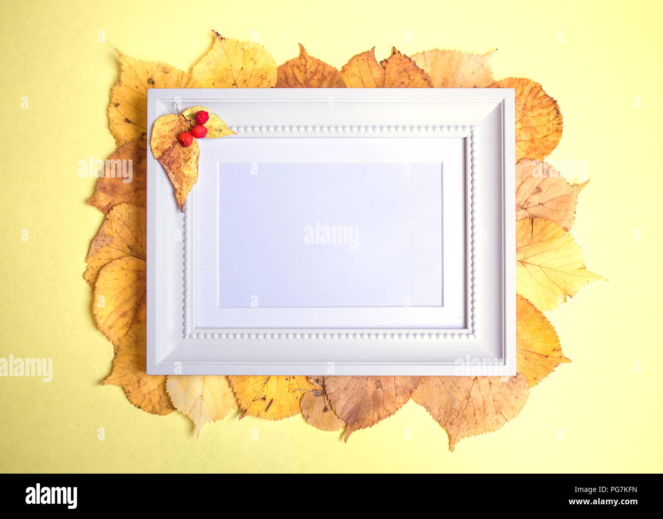 Seasonal autumn background. white frame with place for text, autumn ...