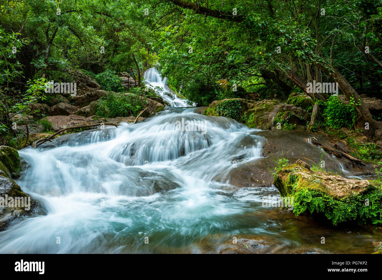 Big rock in woods hi-res stock photography and images - Alamy