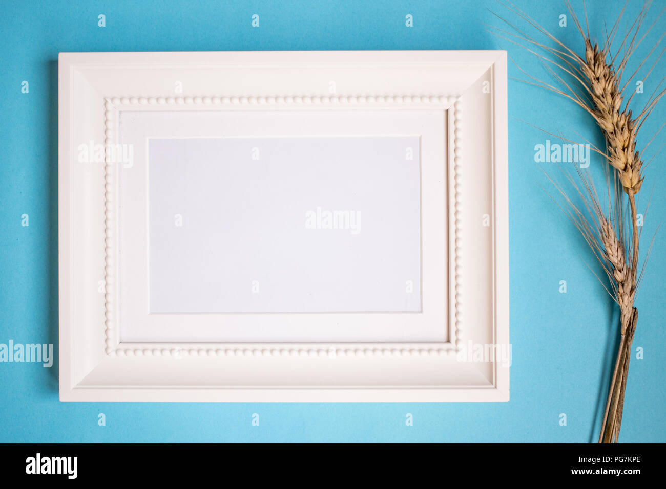 Ears of wheat, white frame with copy space on the blue background Stock ...