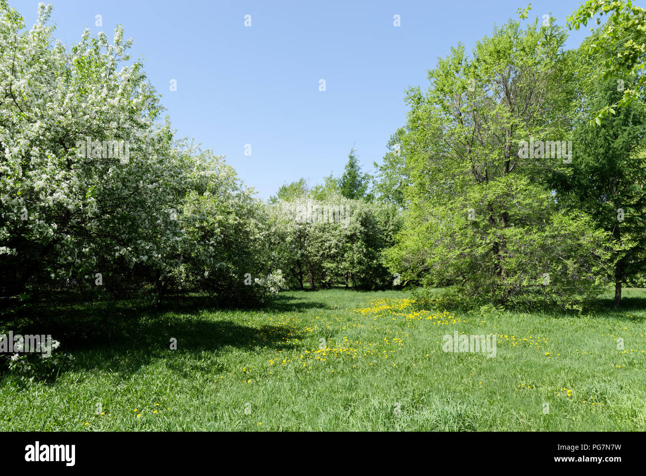 Sunny park scene hi-res stock photography and images - Alamy