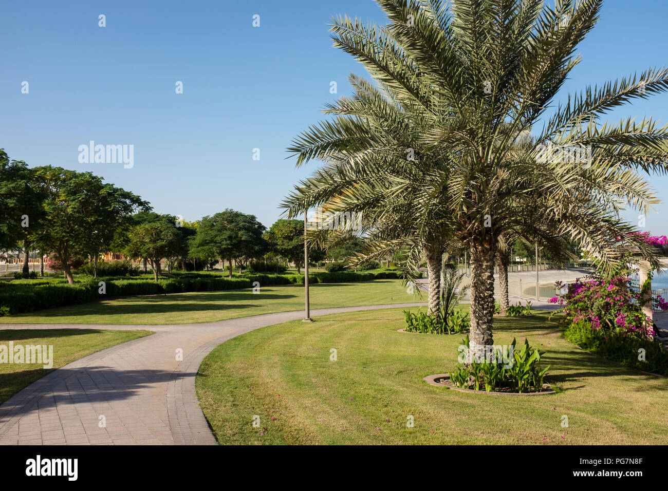 Paved pathway and palm trees in Al Barsha Pond Park, Dubai, United Arab ...