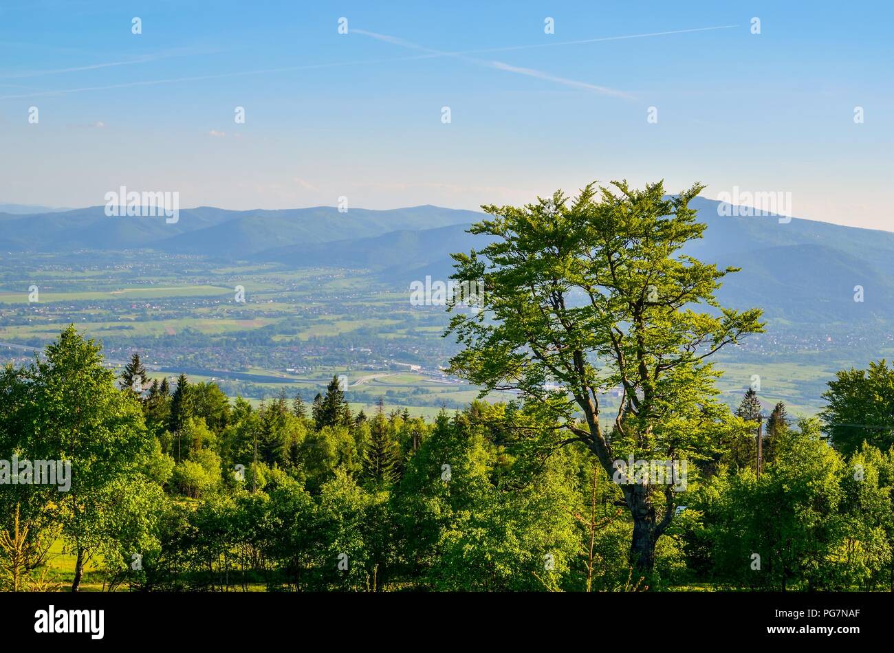 Spring mountain landscape. A beautiful view of the green hills Stock ...