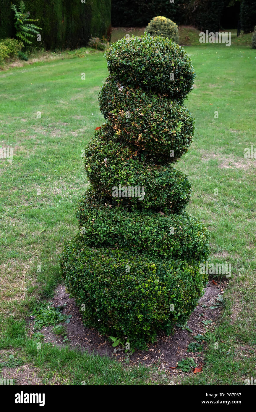 Hedge shrubs shrub perennials hi-res stock photography and images - Alamy