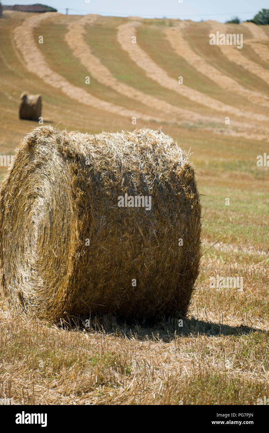 Hay baling hi-res stock photography and images - Alamy