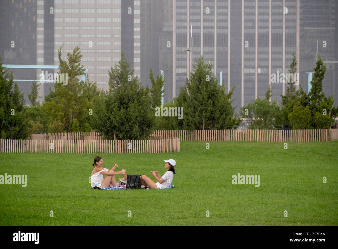 Brooklyn bridge park pier picnic hi-res stock photography and images ...