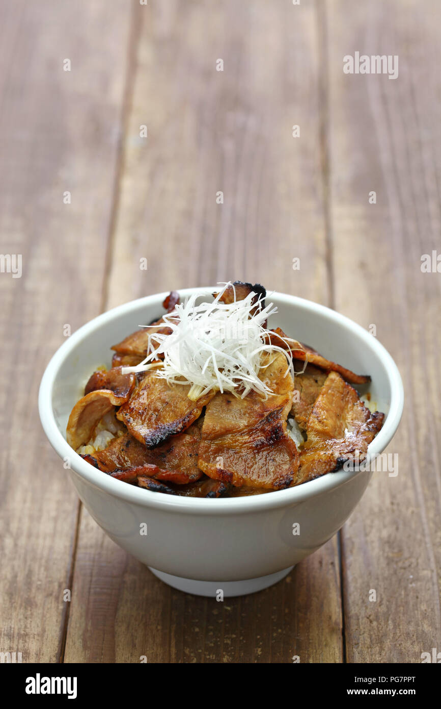 teriyaki pork rice bowl, butadon, japanese food Stock Photo - Alamy
