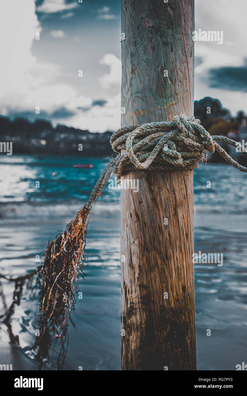 Sailor rope tied to pole with seaweed hanging Stock Photo - Alamy