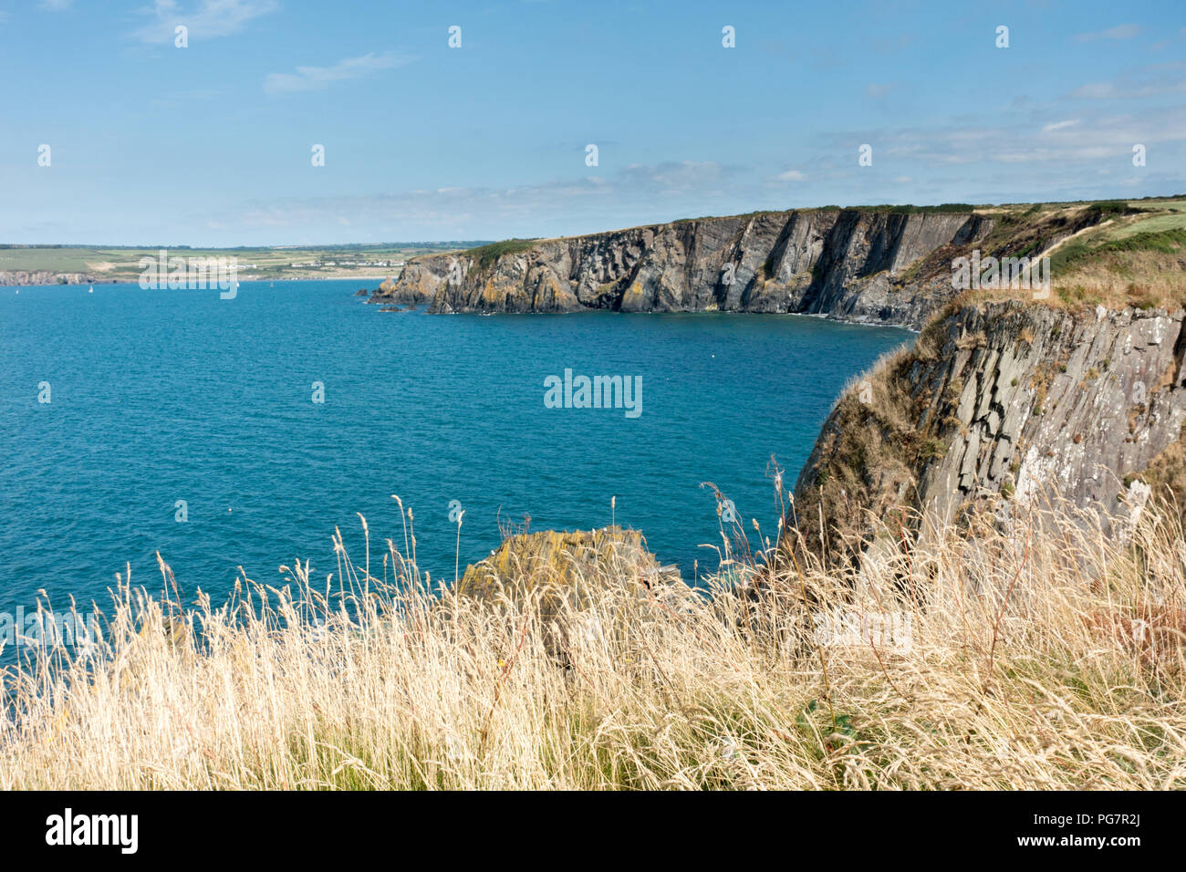 Newport is a pretty coastal town on the mouth of the river Nevern. It ...