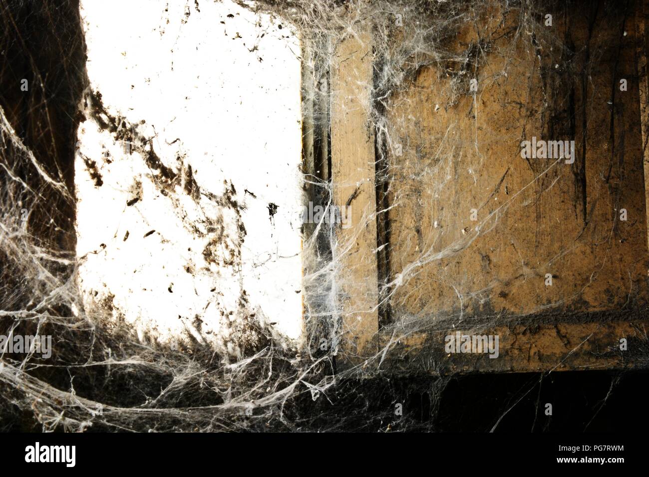 cobwebs at the window Stock Photo - Alamy