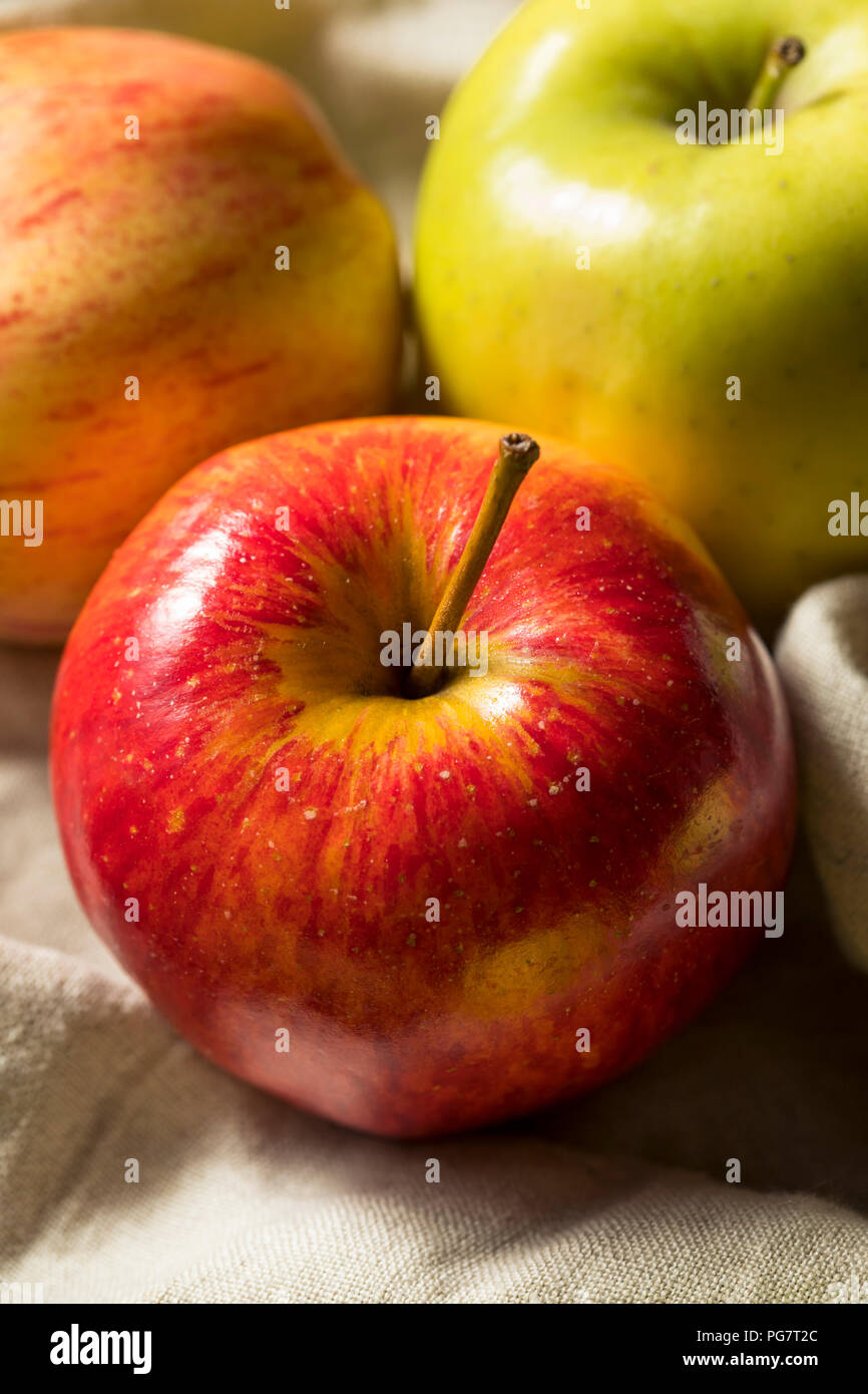Raw Organic Assorted Apples Ready to Eat Stock Photo - Alamy