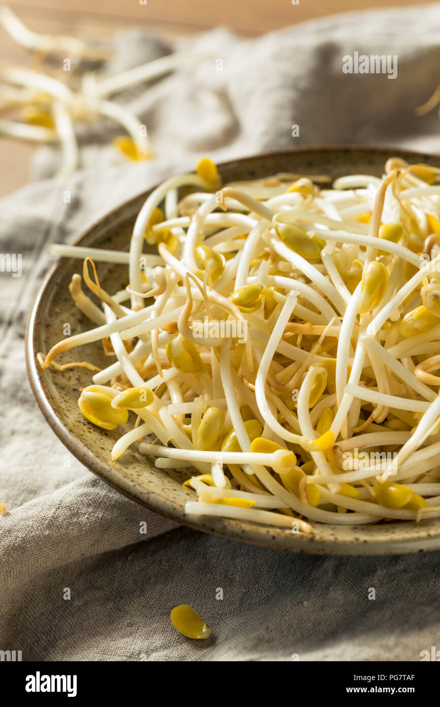 Soy bean sprouts hi-res stock photography and images - Alamy