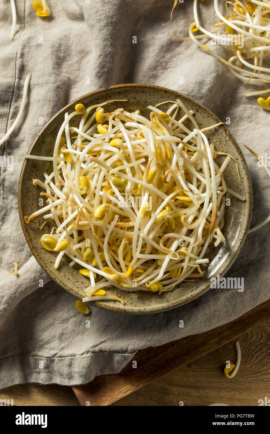 Soy bean sprouts hi-res stock photography and images - Alamy