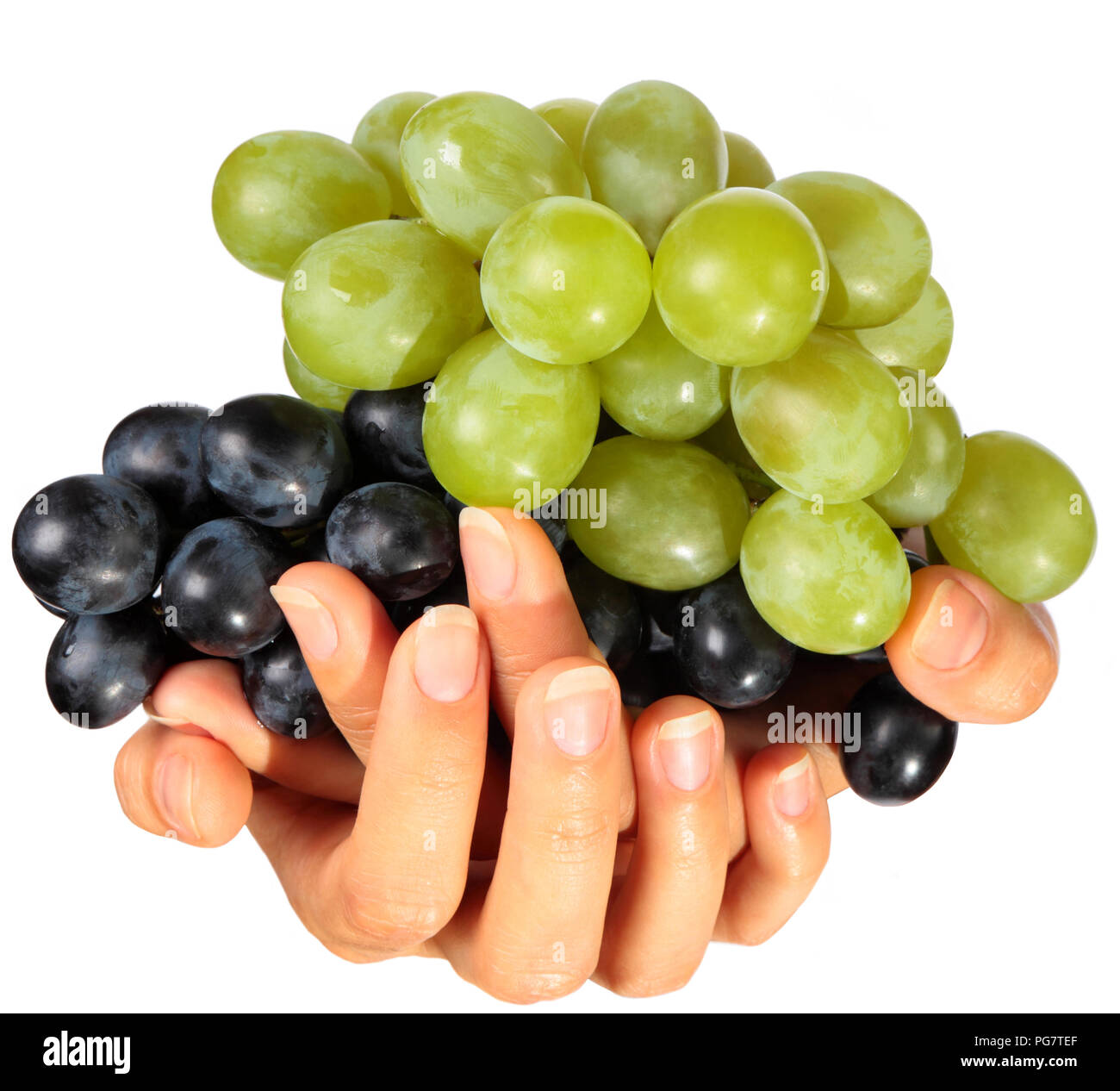 Two clusters of ripe grapes lie in female hands isolated on the white ...