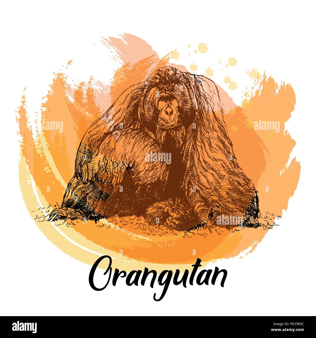 Hand drawn sketch style orangutan isolated on white background. Vector ... Hand drawn sketch style orangutan isolated on white background. Vector ...
