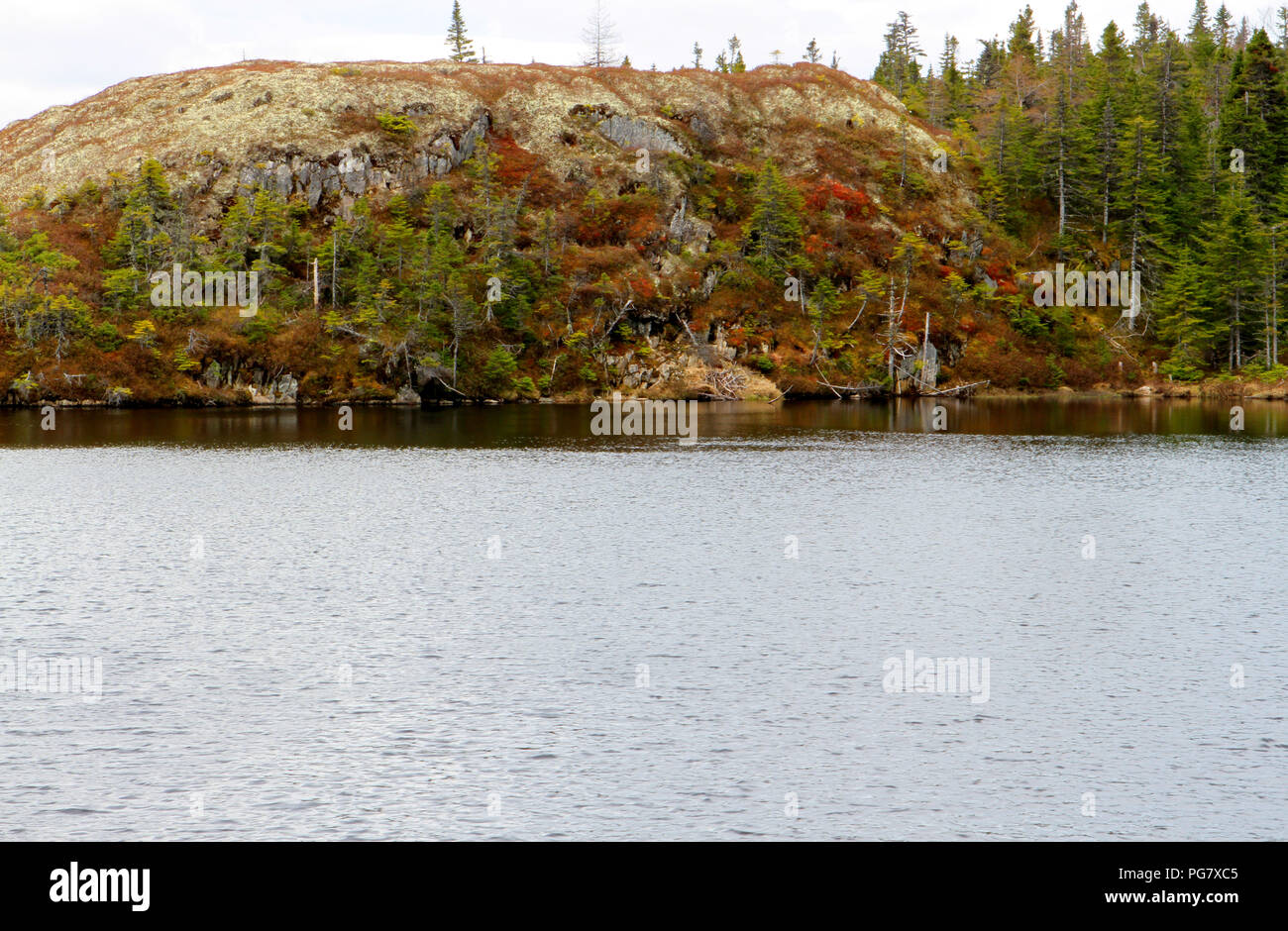 Newfoundland north america hi-res stock photography and images - Alamy