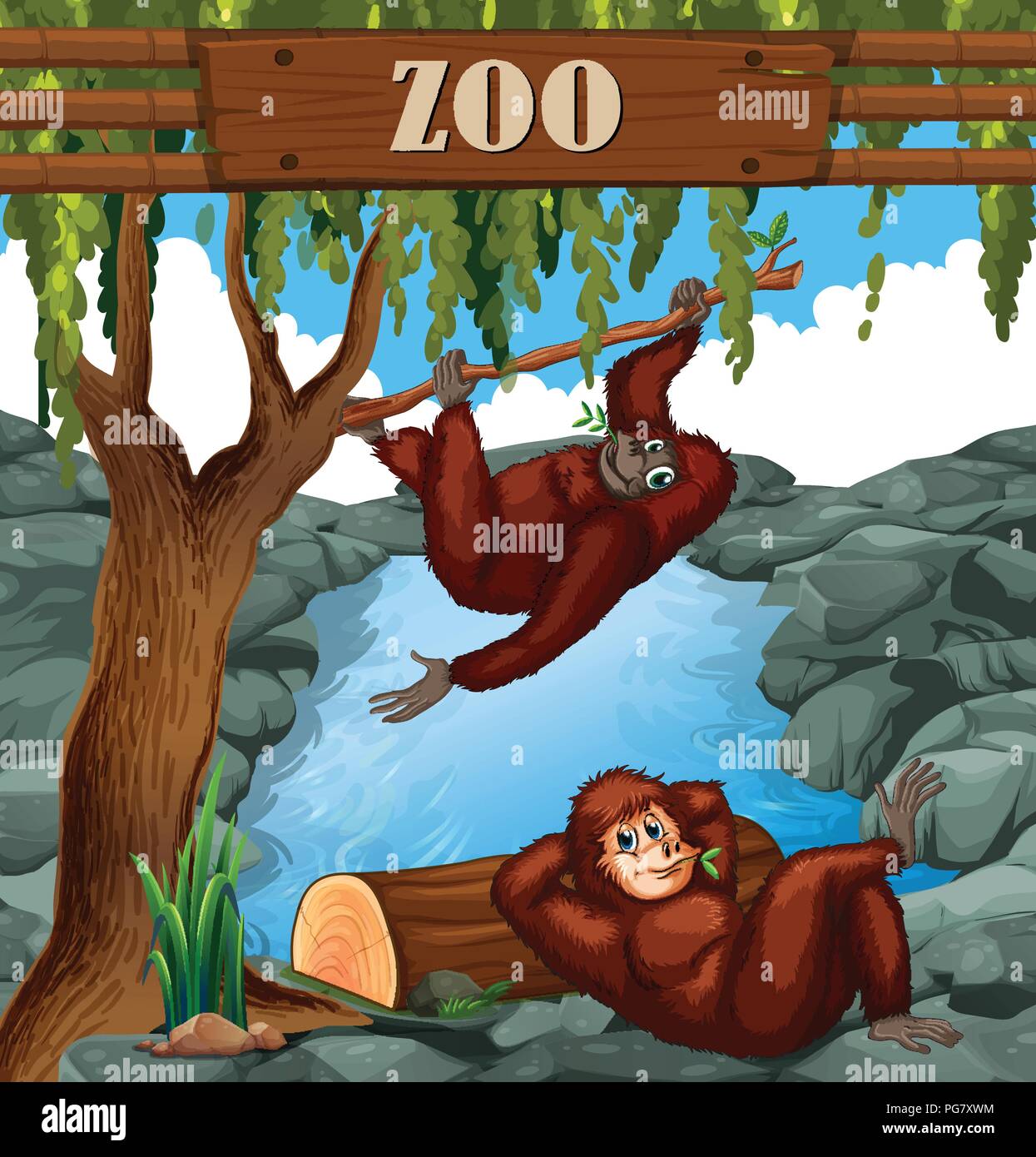 Ape in the zoo illustration Stock Vector Image & Art - Alamy