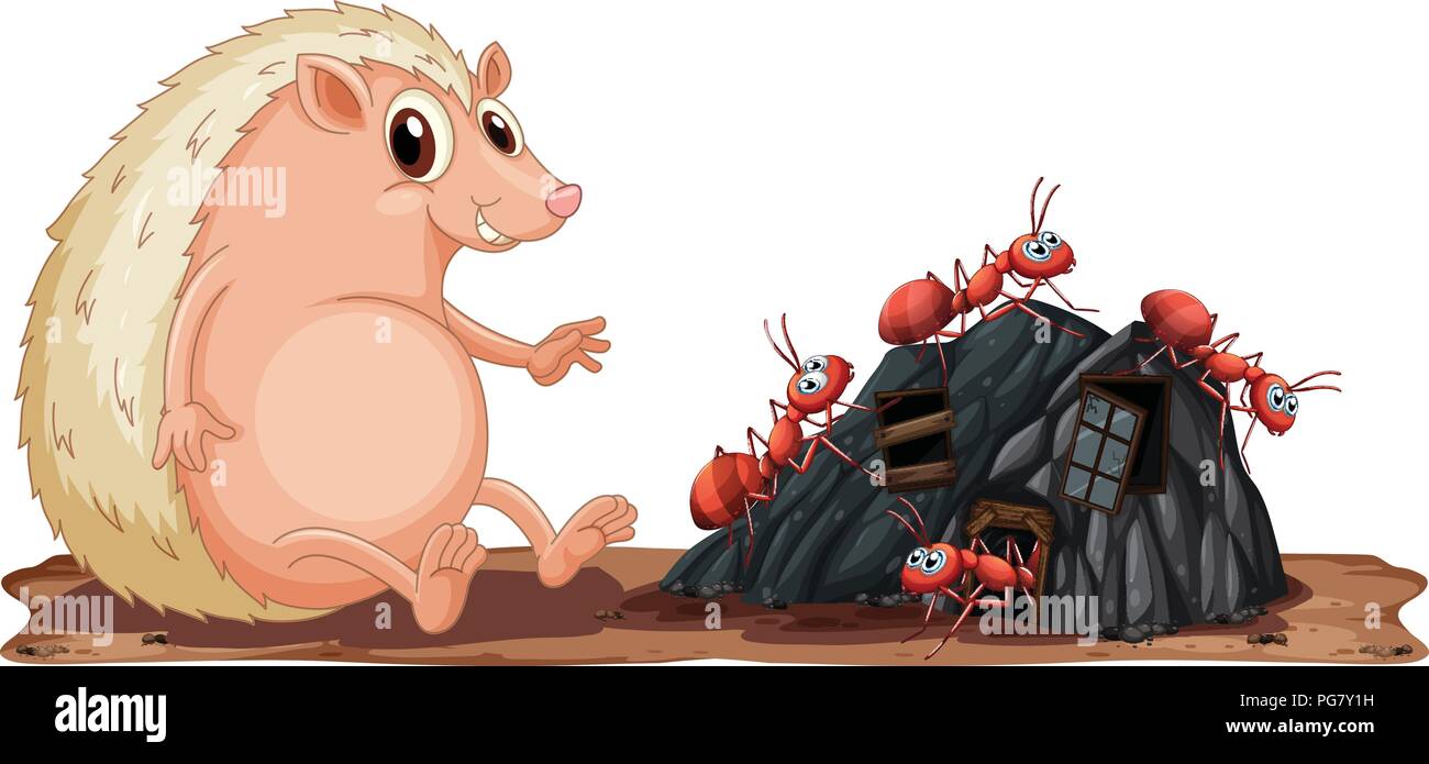 Ants and hedgehog on white background illustration Stock Vector Image ...