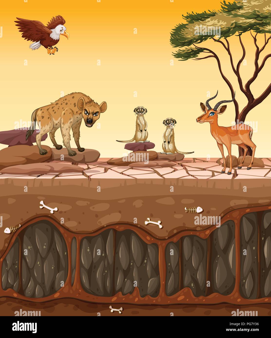 A dry land and wild animals illustration Stock Vector Image & Art - Alamy