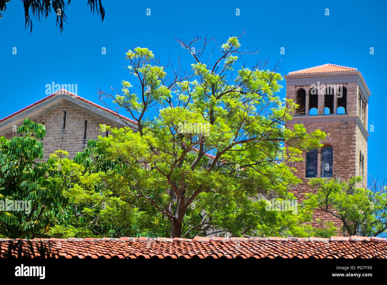 Winthrop Hall Clock Tower UWA from NE Stock Photo - Alamy