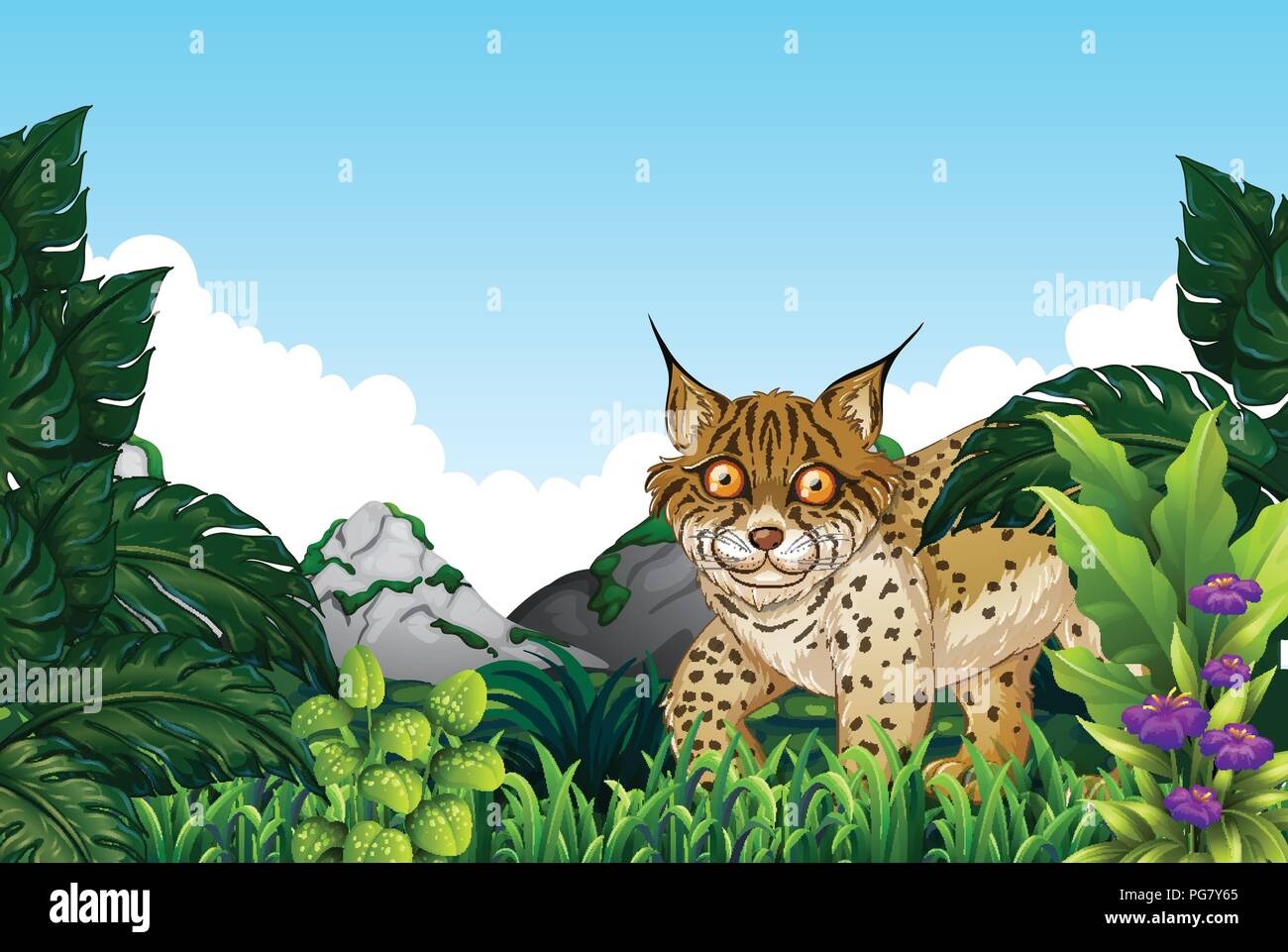Lynx living in the forest illustration Stock Vector Image & Art - Alamy