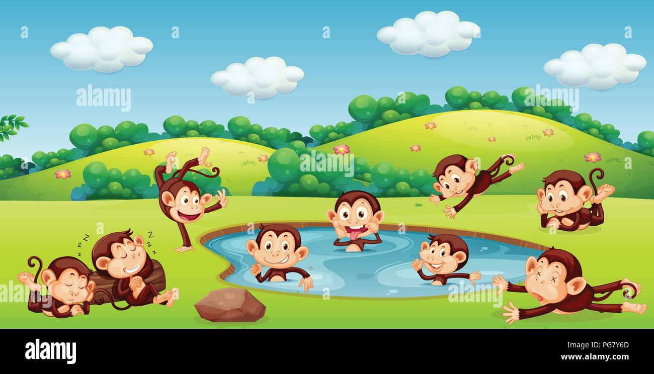 Monkey playing in nature illustration Stock Vector Image & Art - Alamy
