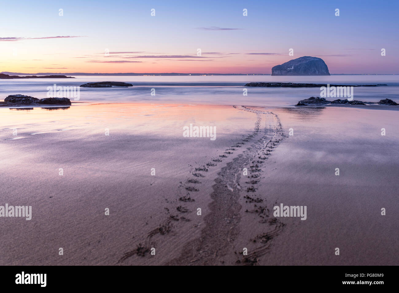 Sea bass uk hi-res stock photography and images - Alamy