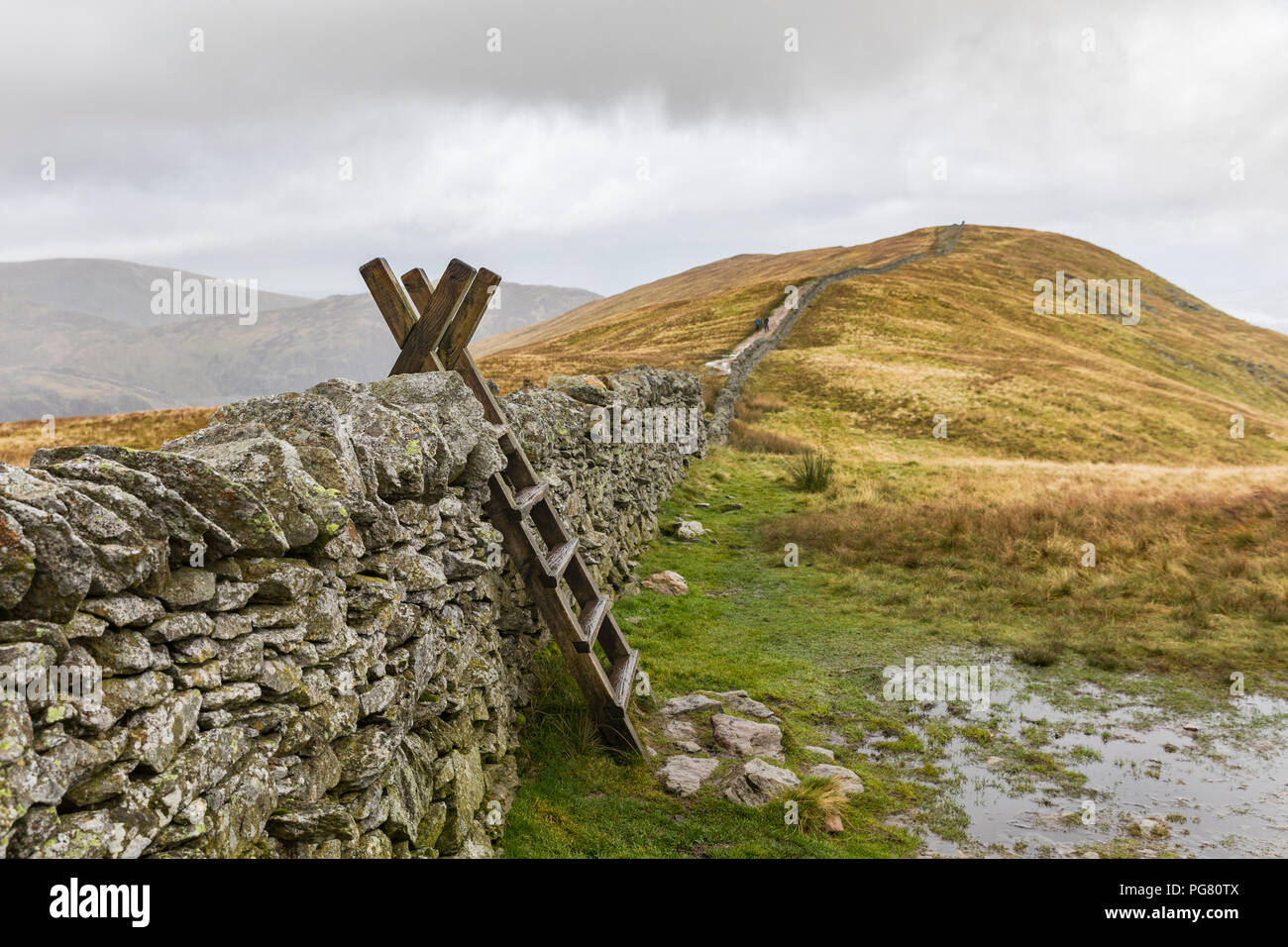 United Kingdom, England, Cumbria, Lake District, wood ladder, stone ...