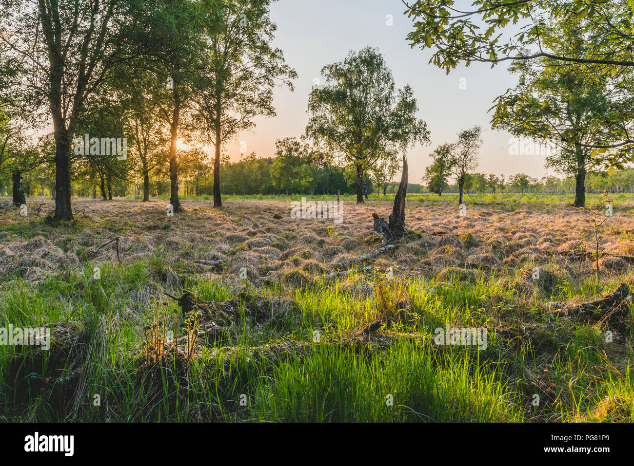 Brook landscape hi-res stock photography and images - Alamy