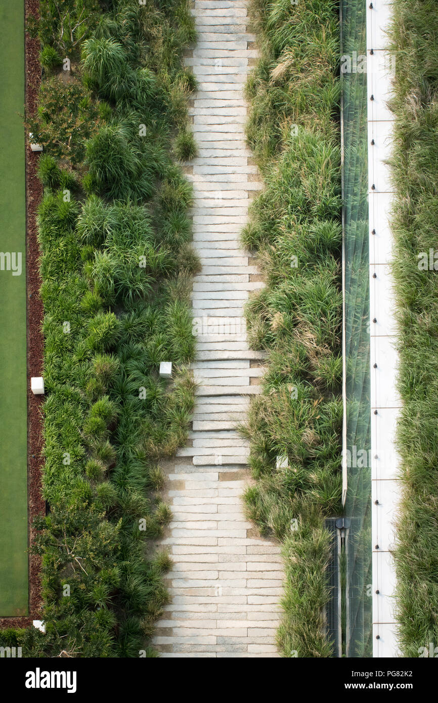 Top view of beautiful lane between trees, Incheon, Korea Stock Photo ...
