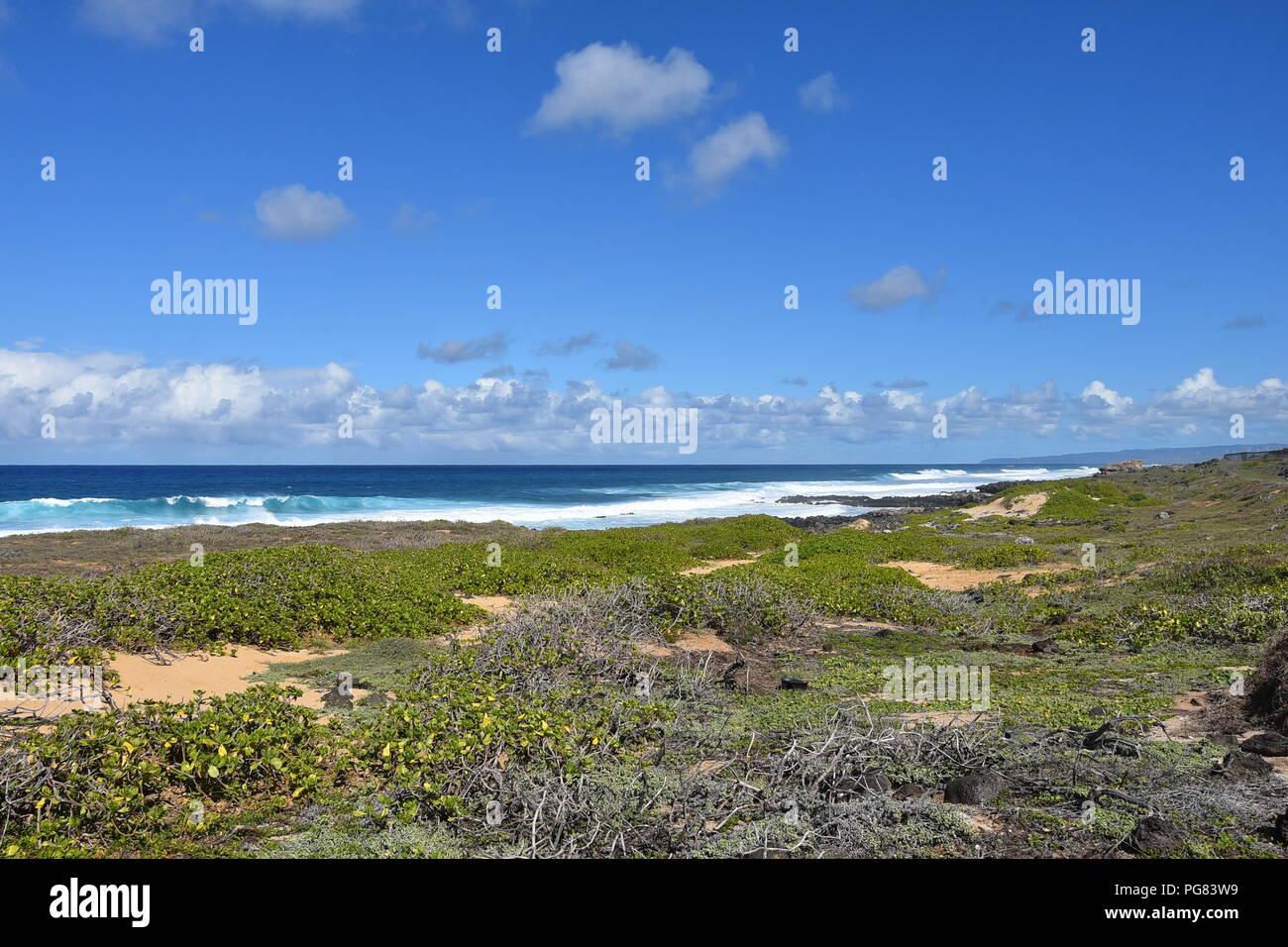Kaena point beach hi-res stock photography and images - Alamy