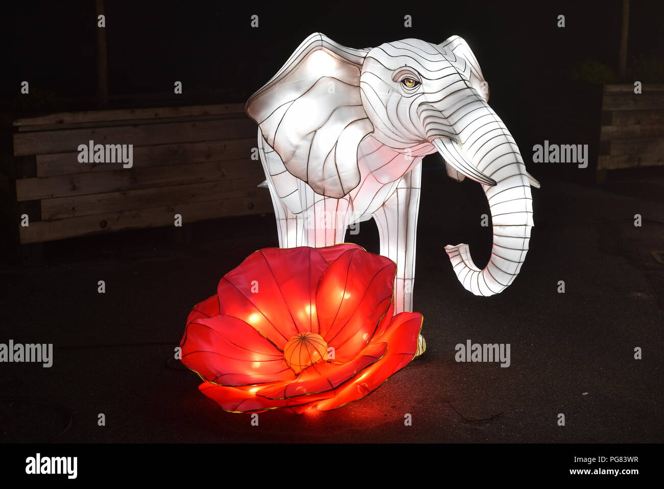 Elephant calendar hi-res stock photography and images - Alamy