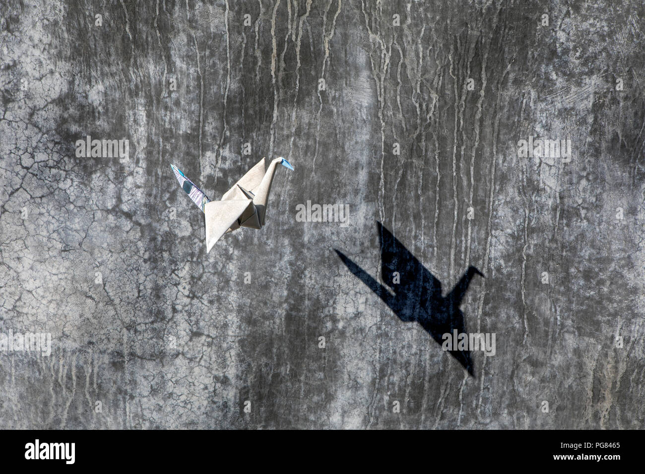 Origami crane flying, concrete wall Stock Photo - Alamy