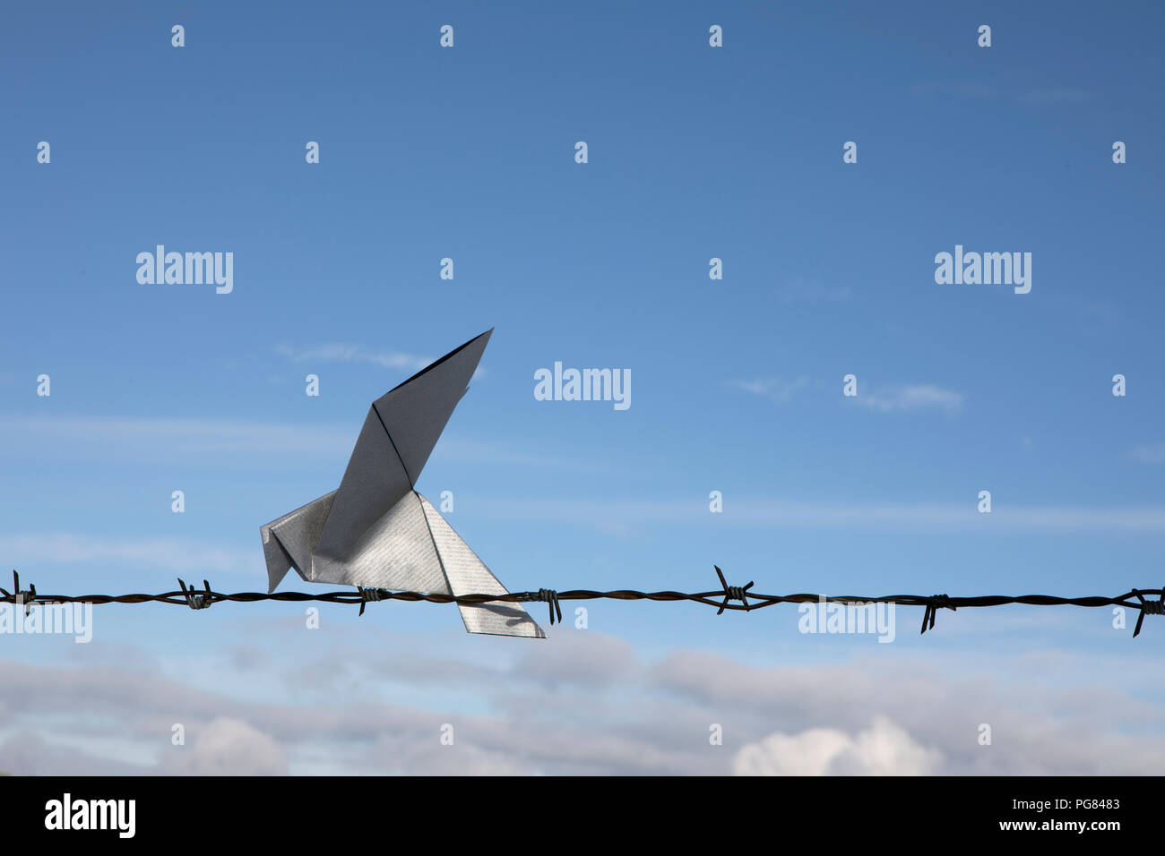 Origami bird sitting on barbed wire, copy space Stock Photo - Alamy
